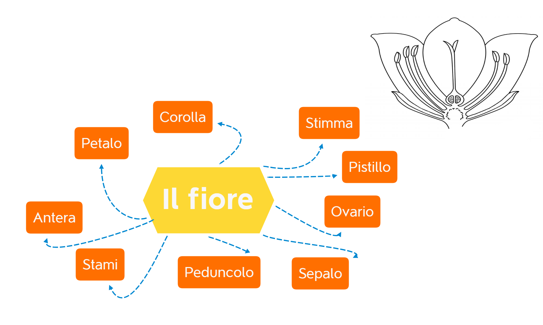 Sito web I.C.S. "Sperone-Pertini"