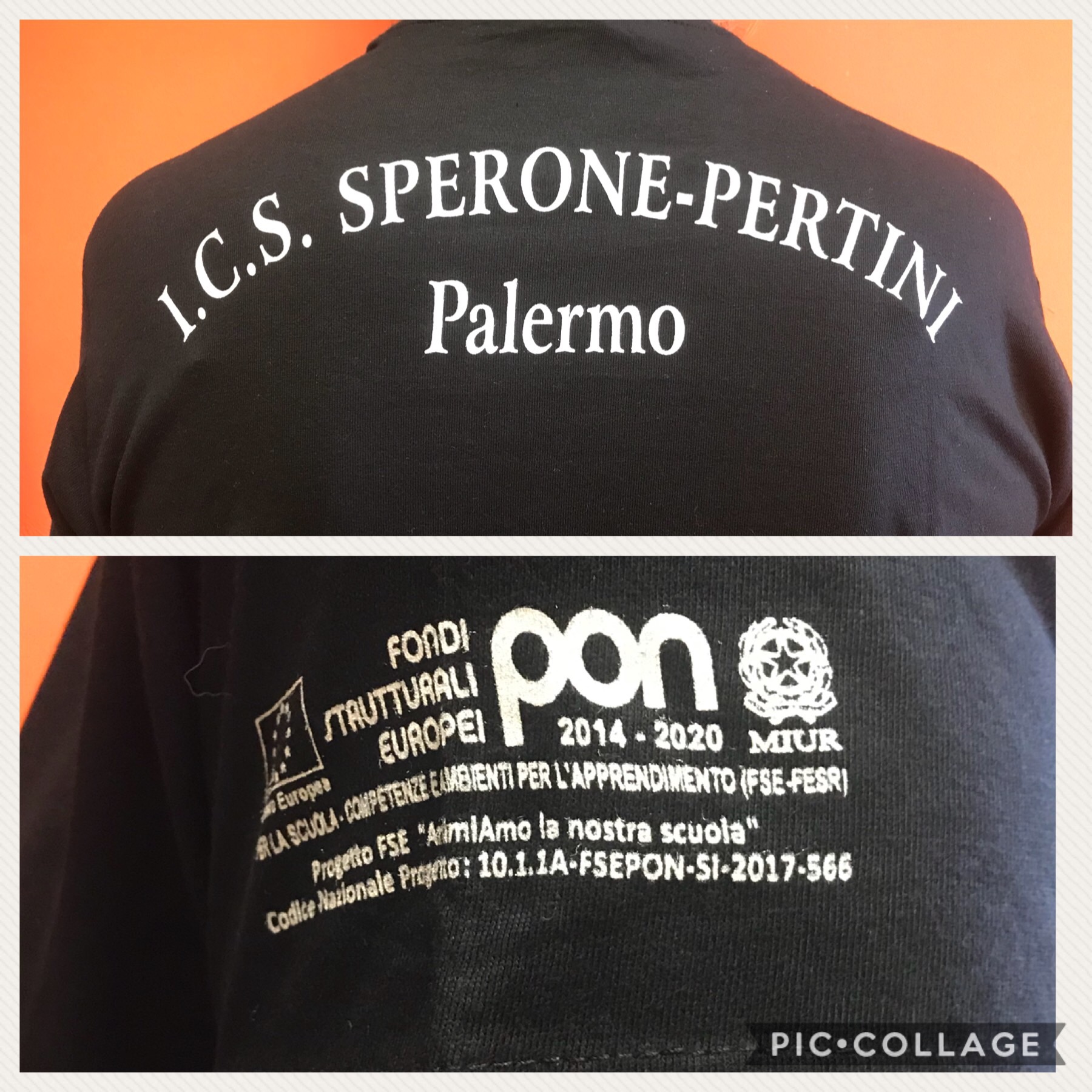 Sito web I.C.S. "Sperone-Pertini"